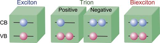 Trion dynamics in lead halide perovskite nanocrystals | The Journal of ...