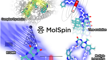 MolSpin—Flexible and extensible general spin dynamics software | The ...