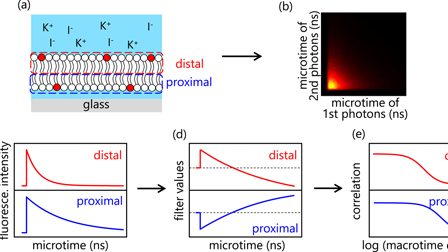 Reduction of glass-surface charge density slows the lipid diffusion in ...
