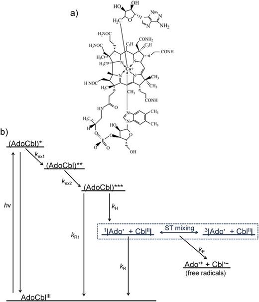 Observation of the Δg mechanism resulting from the ultrafast spin ...
