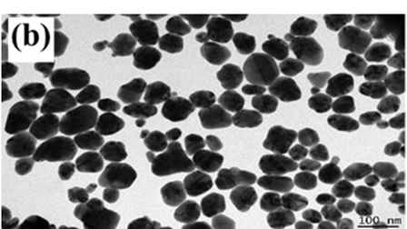 Monitoring the growth dynamics of colloidal gold-silver core-shell nanoparticles using in situ ...