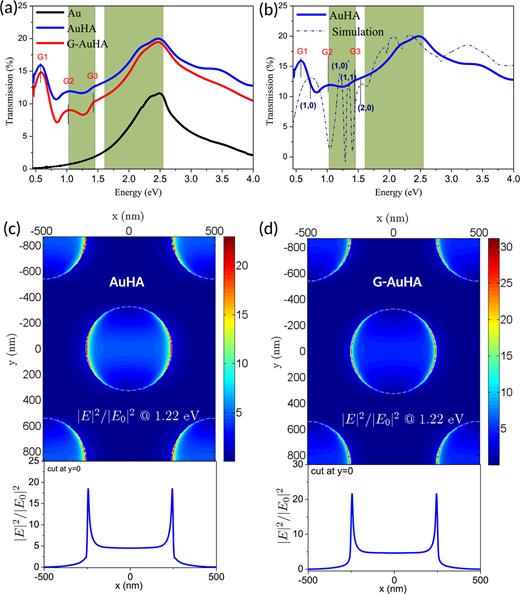 Plasmon-induced efficient hot carrier generation in graphene on gold ...