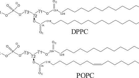 Compatibility of advanced water models with a united atom model of ...