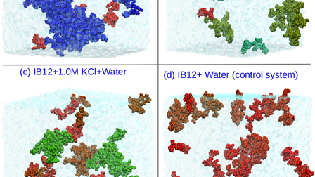 Aggregation dynamics of charged peptides in water: Effect of salt ...