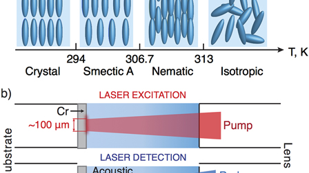 Crystalline-like ordering of 8CB liquid crystals revealed by time ...