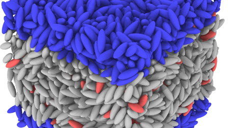 Non-monotonic response of a sheared magnetic liquid crystal to a ...