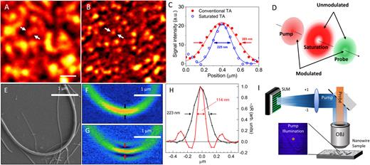 Transient absorption microscopy: Technological innovations and ...