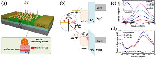 Plasmonic hot electrons for sensing, photodetection, and solar energy ...
