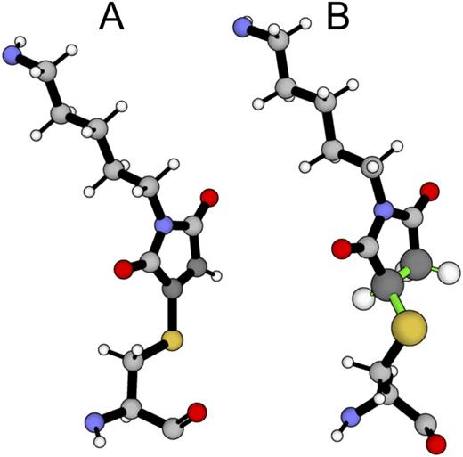 AMBER-DYES in AMBER: Implementation of fluorophore and linker ...