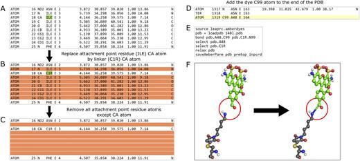 AMBER-DYES in AMBER: Implementation of fluorophore and linker ...