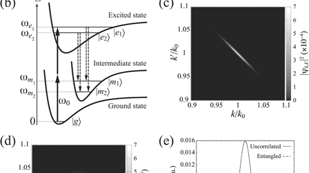 Entangled two-photon absorption spectroscopy for optically forbidden ...