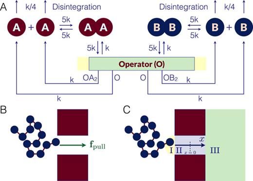 Studying rare events using forward-flux sampling: Recent breakthroughs ...