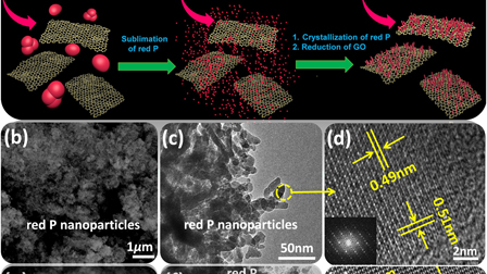 Visible-light photocatalysis and charge carrier dynamics of elemental ...