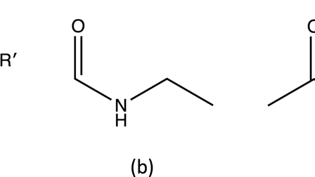 Dissociative electron attachment to amide bond containing molecules: N ...