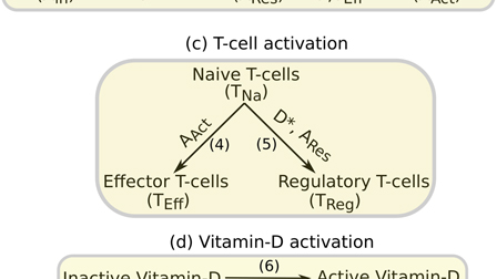 Fluctuation theory of immune response: A statistical mechanical ...