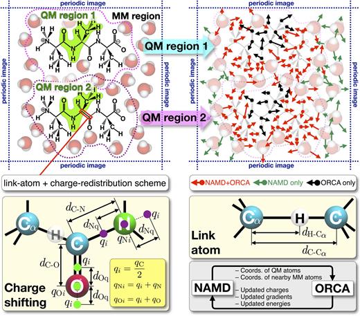 Scalable molecular dynamics on CPU and GPU architectures with NAMD ...