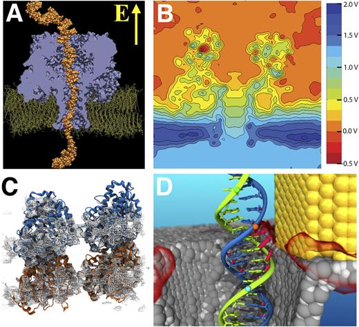 Scalable molecular dynamics on CPU and GPU architectures with NAMD ...