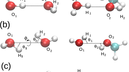 Nuclear quantum effects on the hydrogen bond donor–acceptor exchange in ...