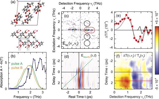 Two-dimensional terahertz spectroscopy of condensed-phase molecular ...