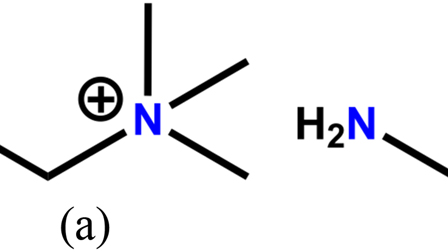 Structure of cholinium glycinate biocompatible ionic liquid at graphite ...