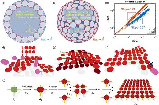 Chemical kinetic mechanisms and scaling of two-dimensional polymers via ...