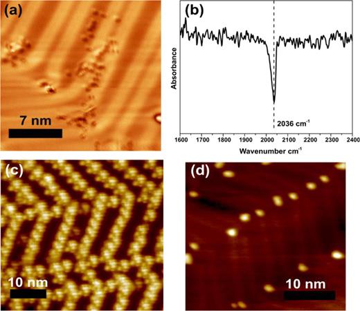 Mechanistic insights into carbon–carbon coupling on NiAu and PdAu ...