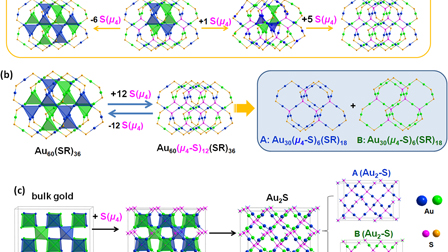 An Au2S network model for exploring the structural origin, evolution ...