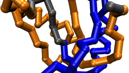 Protein self-entanglement modulates successful folding to the native ...