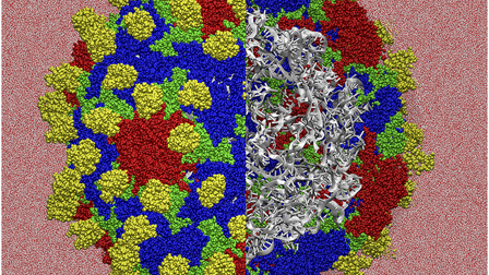 All-atom molecular dynamics study of hepatitis B virus containing pregenome RNA in solution ...