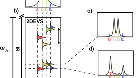 Two-dimensional electronic–vibrational spectroscopy: Exploring the ...
