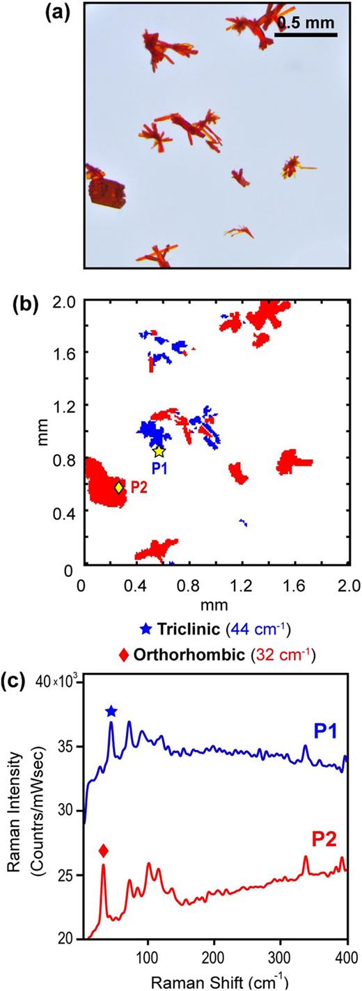 Beyond single crystals: Imaging rubrene polymorphism across crystalline ...