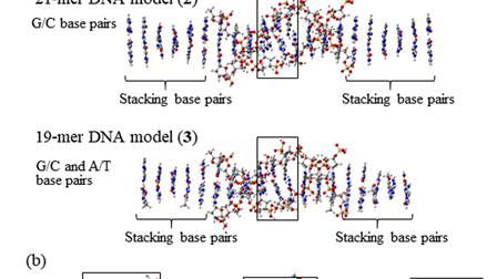 Ab initio multi-level layered elongation method and its application to local interaction ...