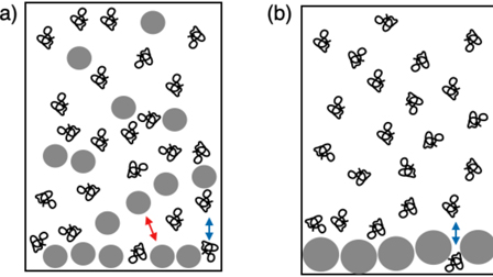 Diffusion, phase behavior, and gelation in a two-dimensional layer of ...