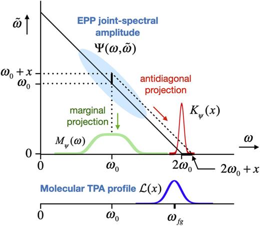 Entangled two-photon absorption by atoms and molecules: A quantum optics tutorial | The Journal ...