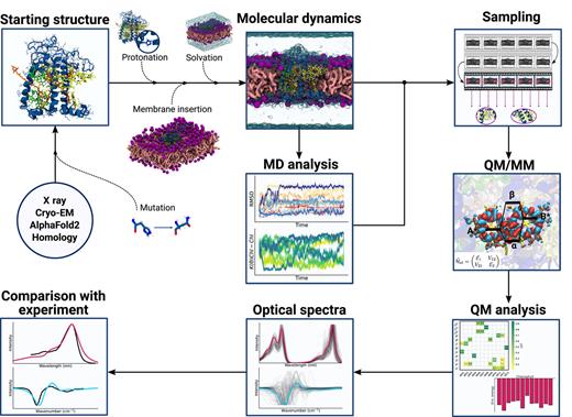 The Atomistic Modeling Of Light Harvesting Complexes From The Physical