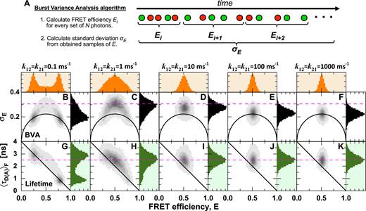 Unraveling multi-state molecular dynamics in single-molecule FRET ...