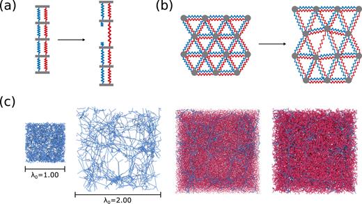 Stretchy and disordered: Toward understanding fracture in soft network ...
