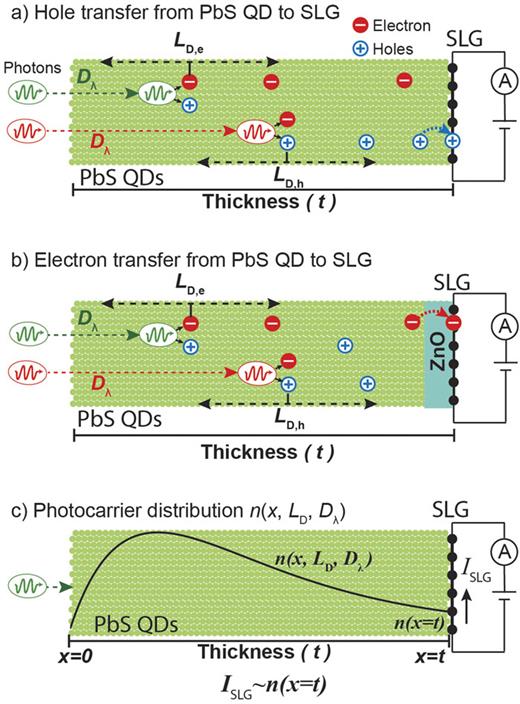 Measuring the carrier diffusion length in quantum dot films using ...