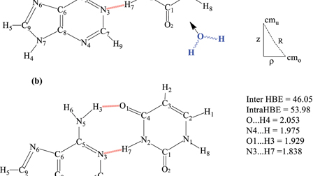 Intramolecular vibrational energy redistribution in nucleobases ...