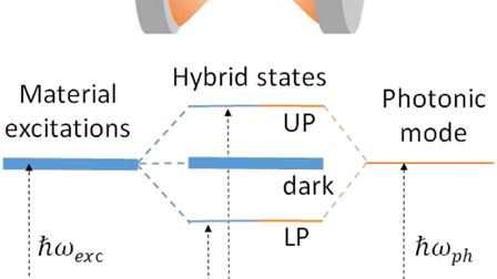 Polariton chemistry: Molecules in cavities and plasmonic media | The ...