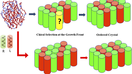 Chiral selecting crystallization of helical polymers: A molecular dynamics simulation for the ...