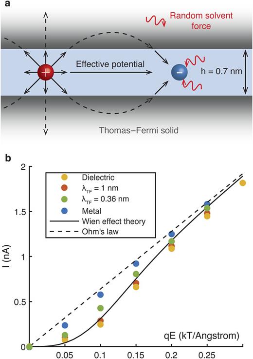Interaction confinement and electronic screening in two-dimensional ...