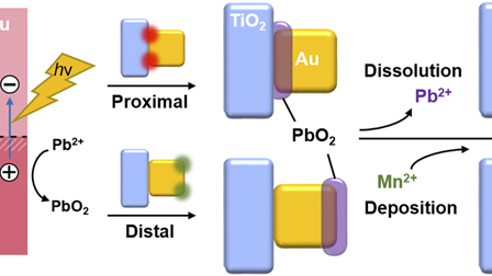 Site-selective introduction of MnO2 co-catalyst onto gold nanocubes via ...