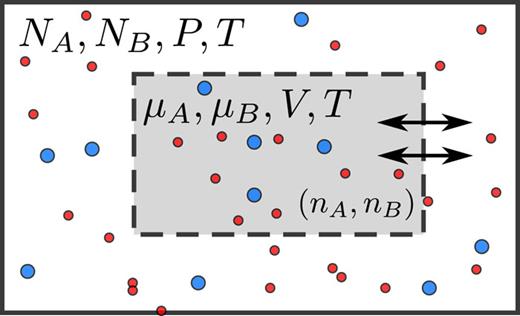 Computing chemical potentials of solutions from structure factors | The ...