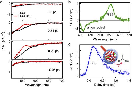 Basic aspects of gold nanoparticle photo-functionalization using oxides ...