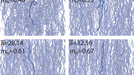 Semiflexible polymer solutions. II. Fluctuations and Frank elastic ...