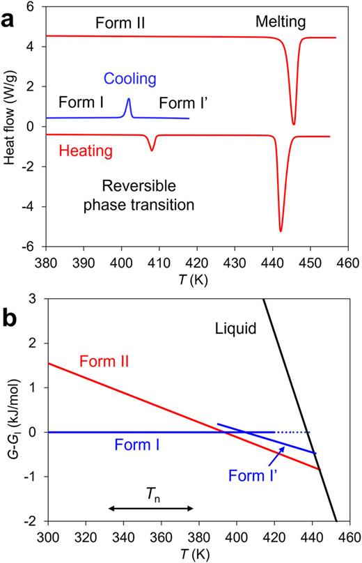 Surface-enhanced crystal nucleation and polymorph selection in ...