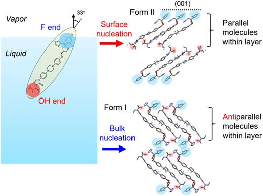Surface-enhanced crystal nucleation and polymorph selection in ...