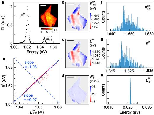 Disorder of excitons and trions in monolayer MoSe2 | The Journal of ...