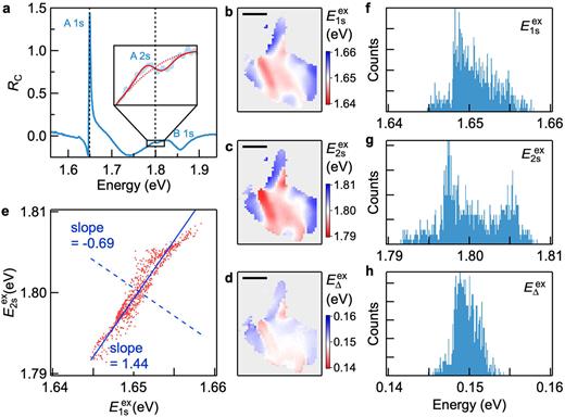 Disorder of excitons and trions in monolayer MoSe2 | The Journal of ...